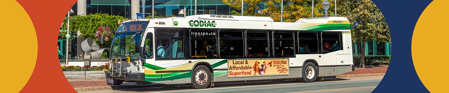Codiac Transpo Growth Strategy | Let's Chat Moncton