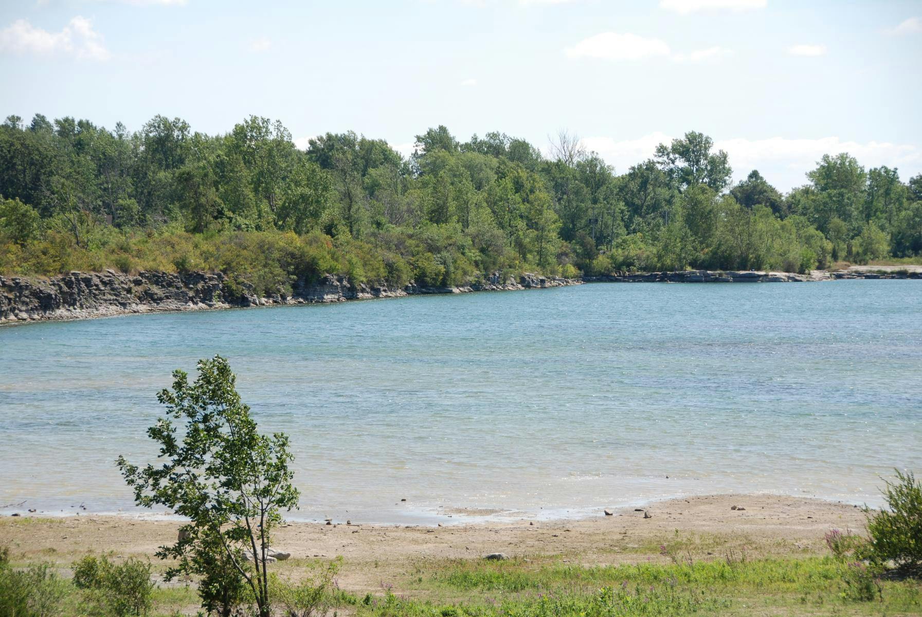 Photos | Wainfleet Wetlands & Quarry- Public Awareness Campaign | Get ...