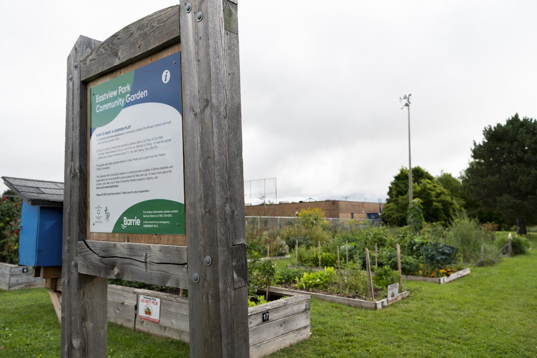 Dunsmore Community Garden Consultation | Building Barrie