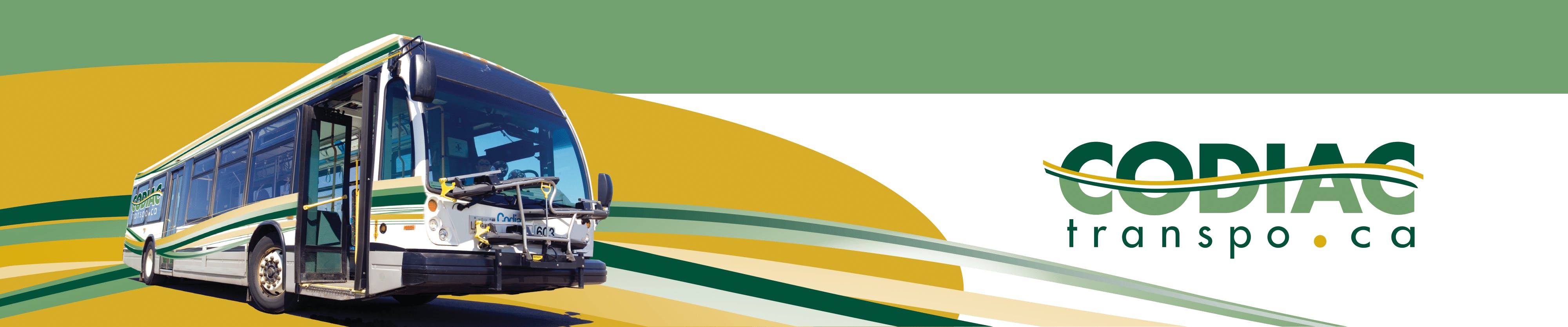 Codiac Transpo - Service Level | Let's Chat Moncton