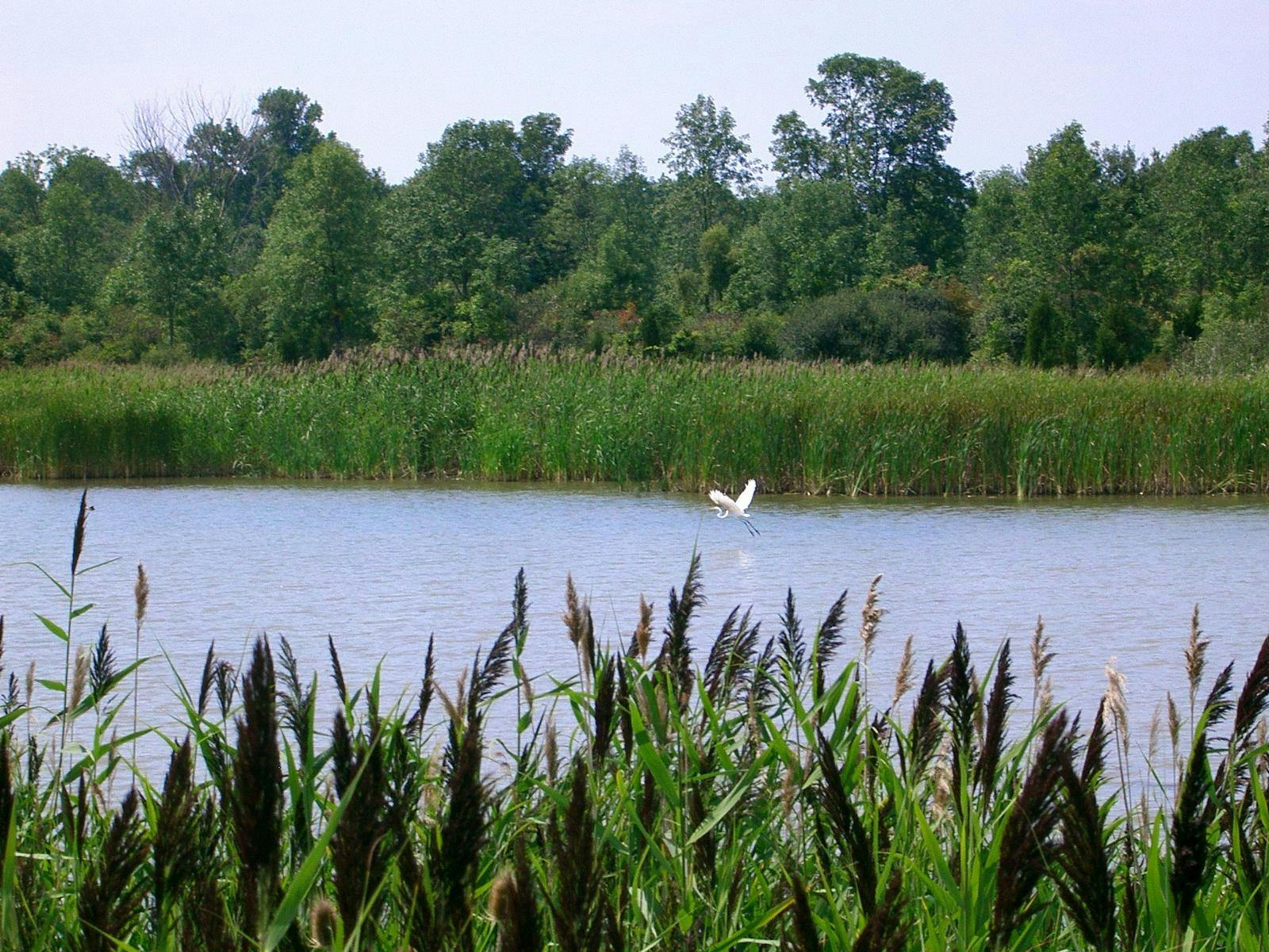 Photos | Wainfleet Wetlands & Quarry- Public Awareness Campaign | Get ...