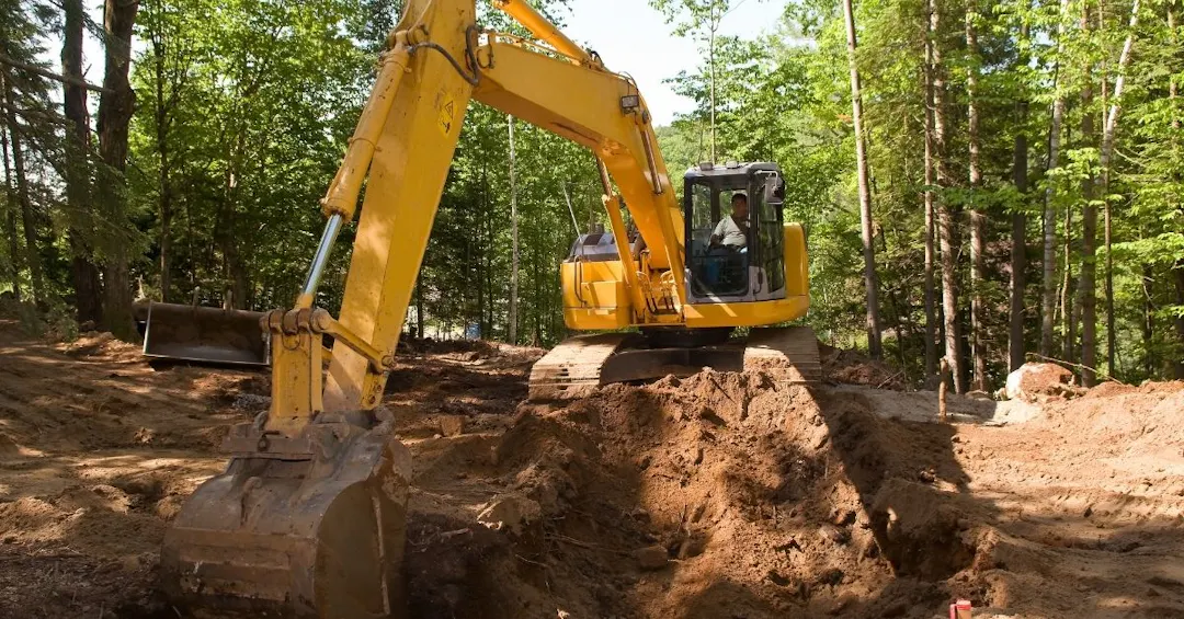 Site Alteration/Tree Preservation By-law Review | Engage Muskoka Lakes
