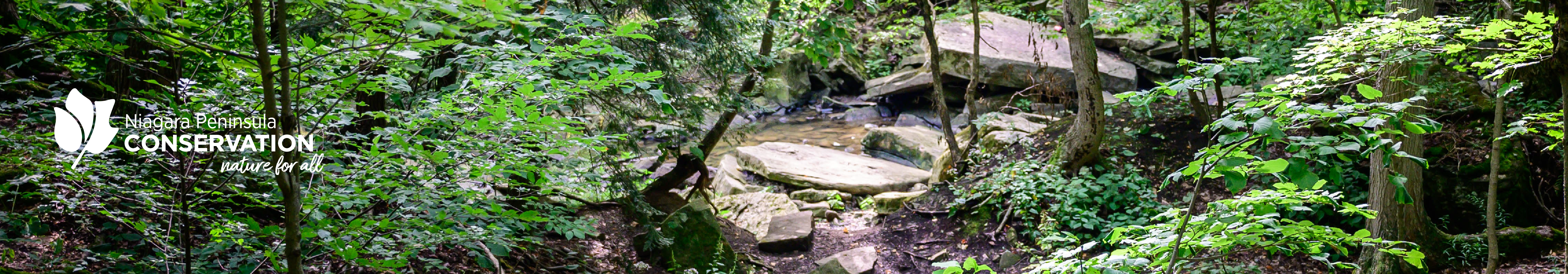 Get Involved with NPCA