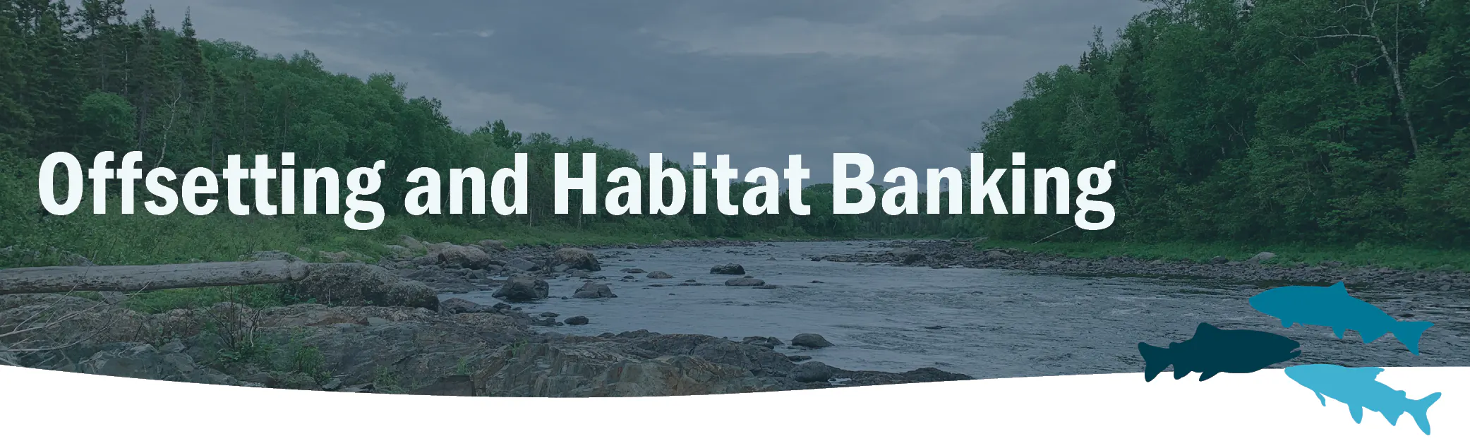 FAQs | Offsetting and Habitat Banking | Talk Fish Habitat