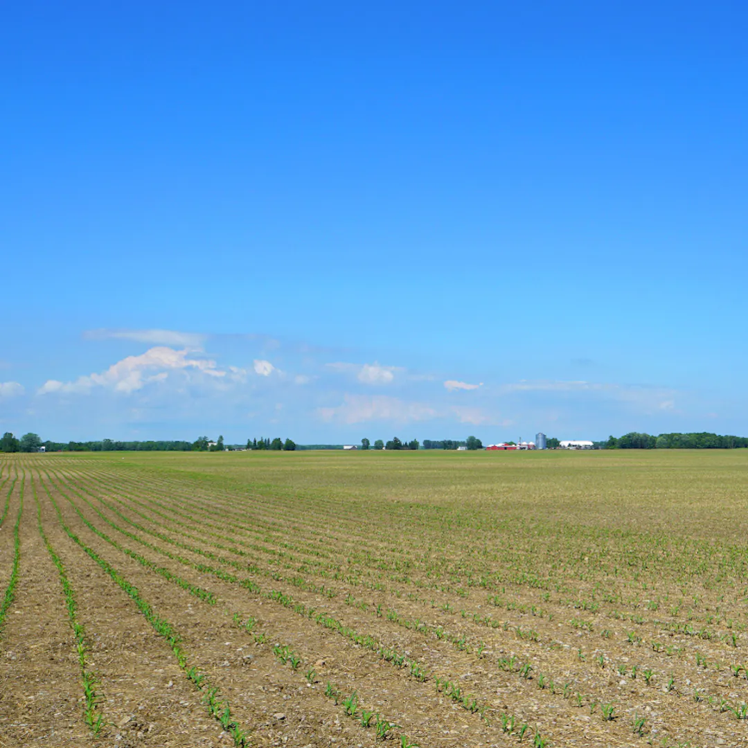 Biosolids Application | Have Your Say