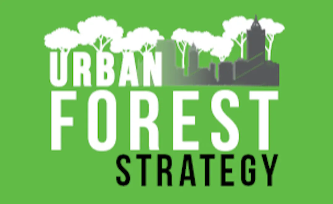 Urban Forest Strategy Engage Hamilton