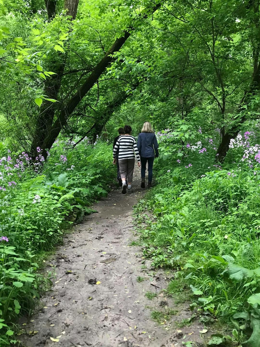 Barker's Bush Trails Master Plan | EngageBrant