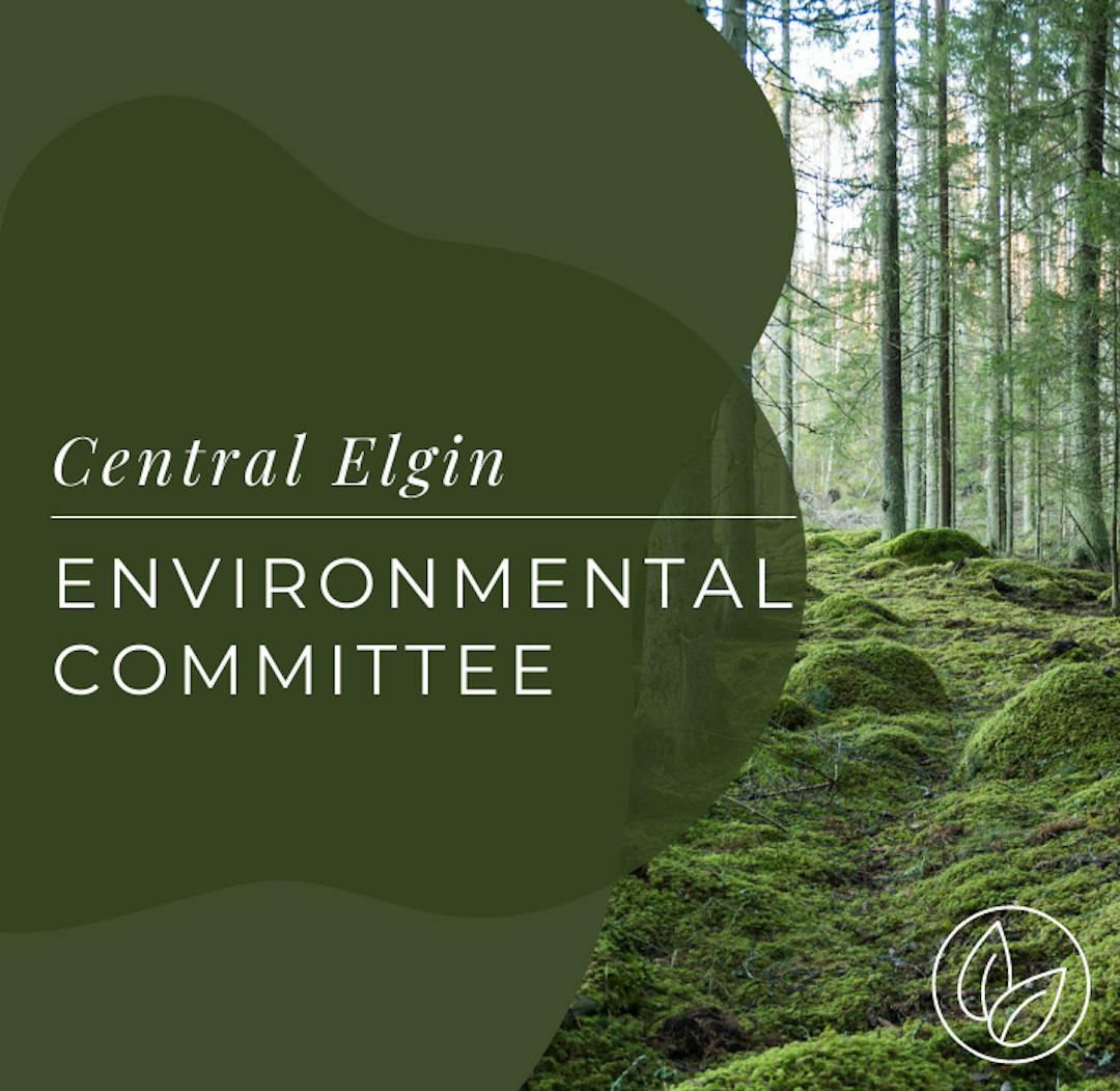 Central Elgin Environmental Committee | Let’s Talk Central Elgin