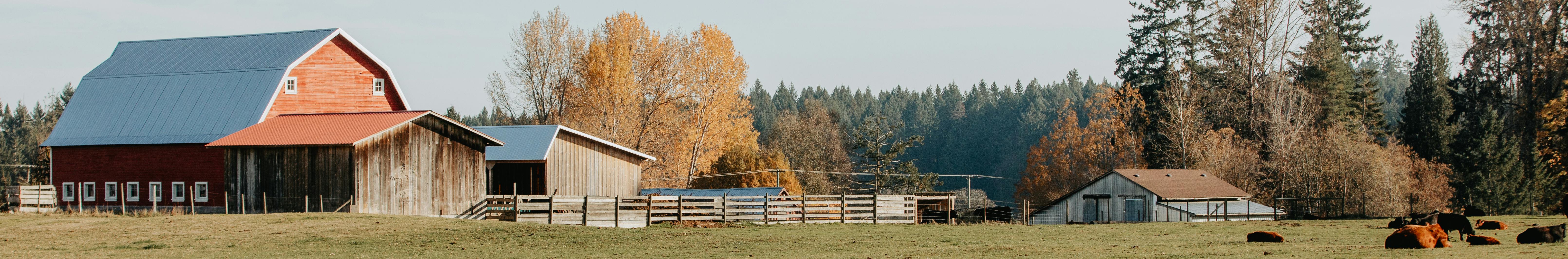 Comprehensive Land Use Bylaw and Marine Zoning Bylaw | Plan Your CVRD