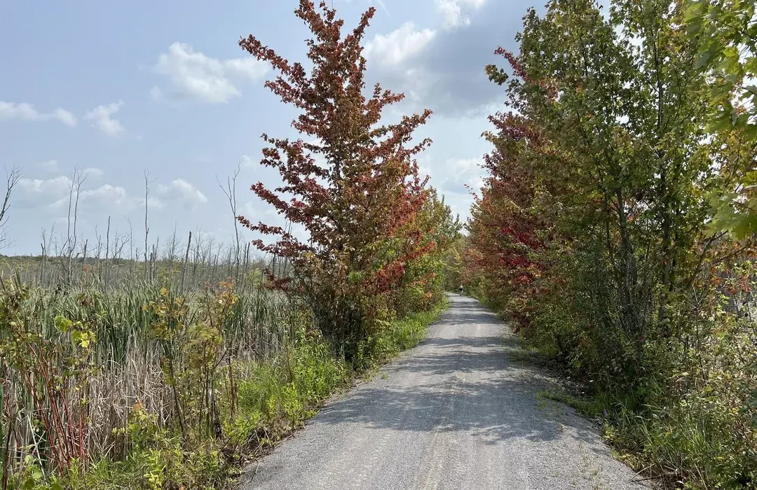Cultural Heritage Landscape Mapping | Have Your Say