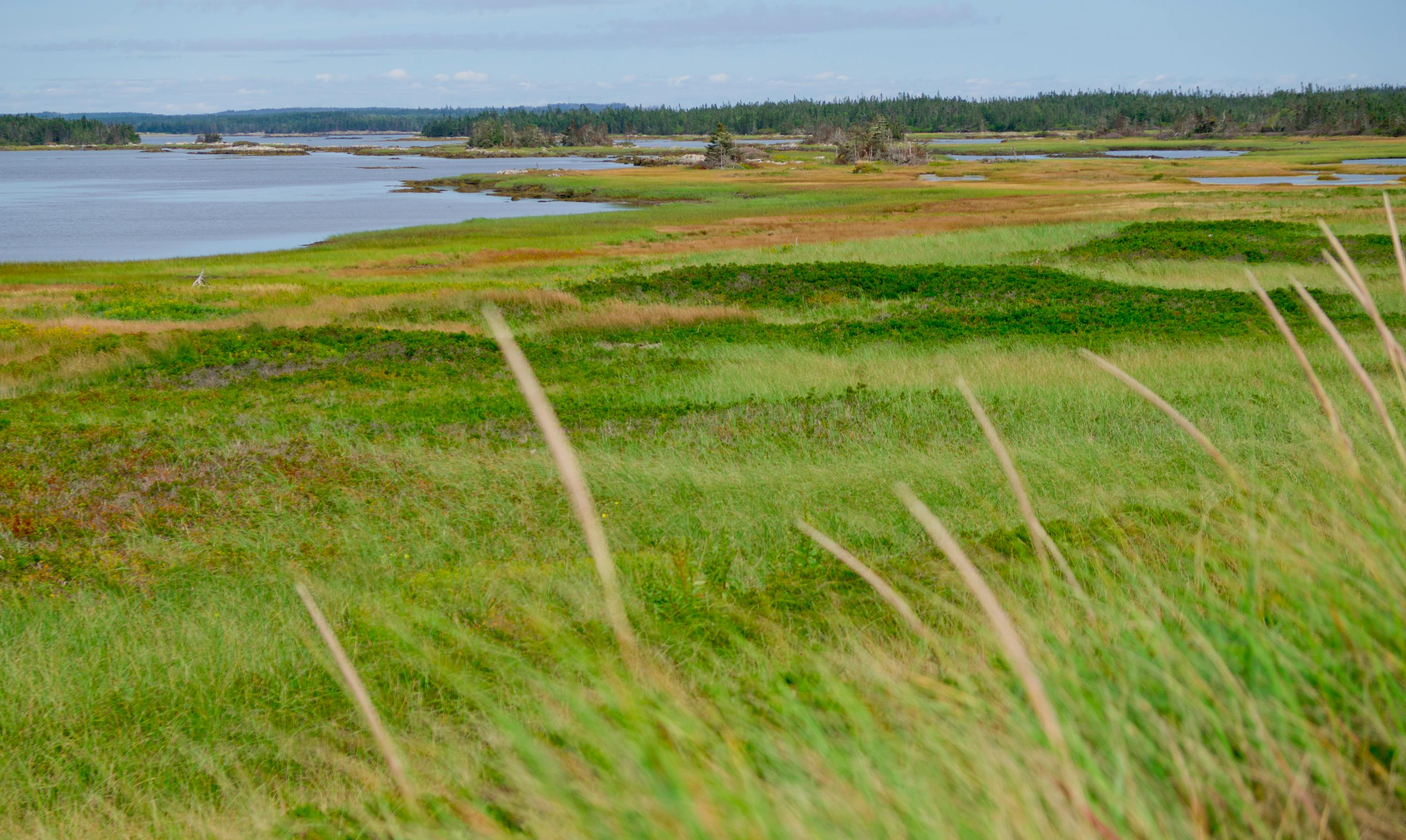 Photos | Cape LaHave Island | Engage MODL