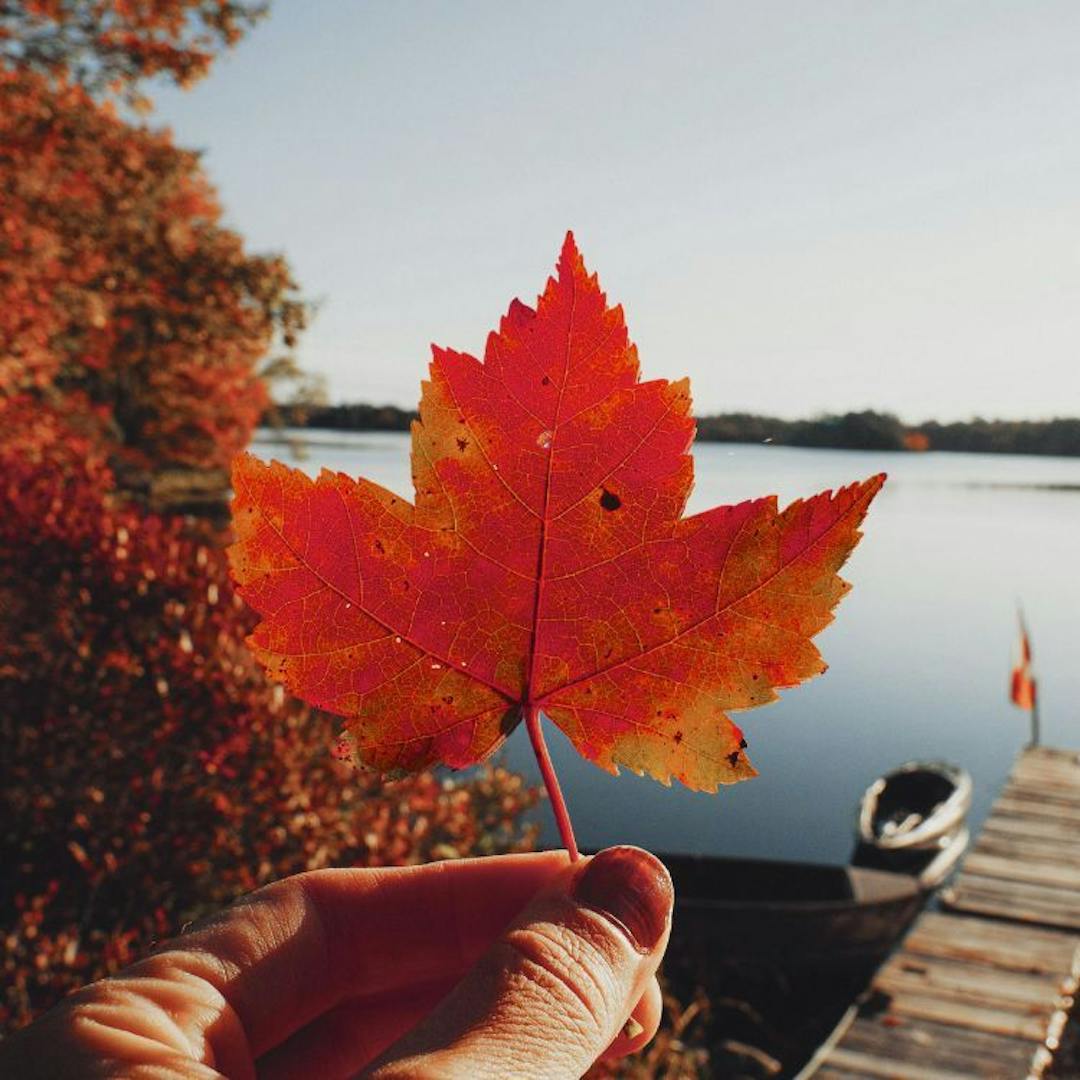 Muskoka Tariff Information Hub – Supporting Businesses and our ...