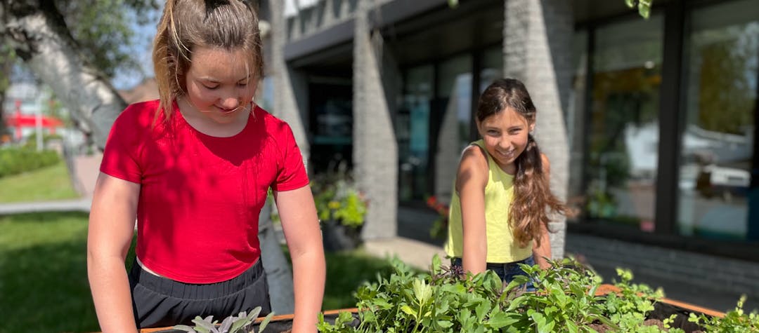 News | Wasamac Consultations