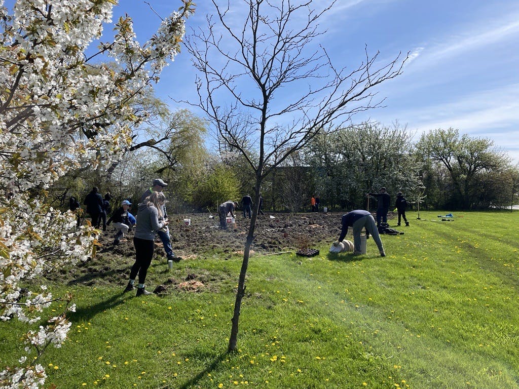 Trees For All | Get Involved with NPCA