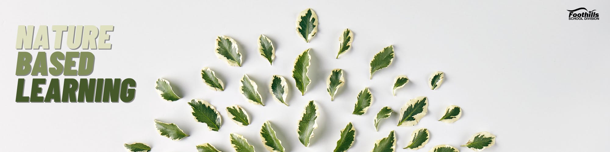 Nature Based Learning | Engage FSD - Public Engagement Portal