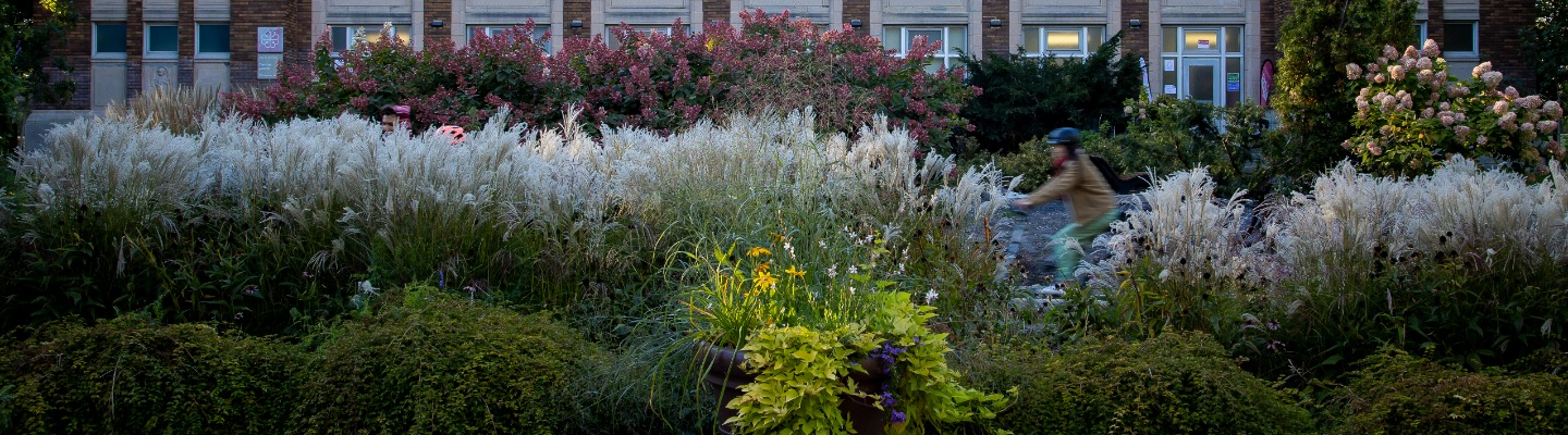 Formulaire d'inscription aux ateliers de développement des idées en ...