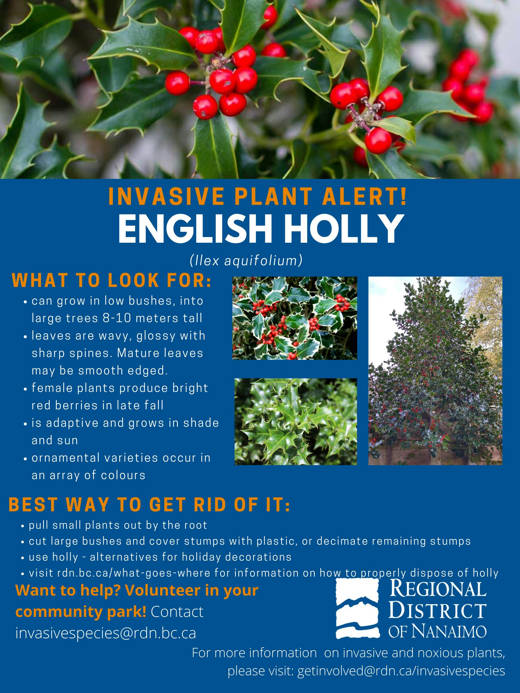 Invasive Species in the RDN | Get Involved RDN