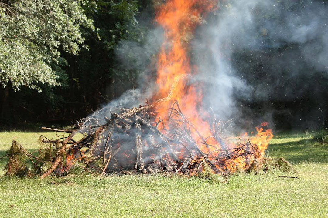 Outdoor Burning and Green Waste | Connect North Saanich
