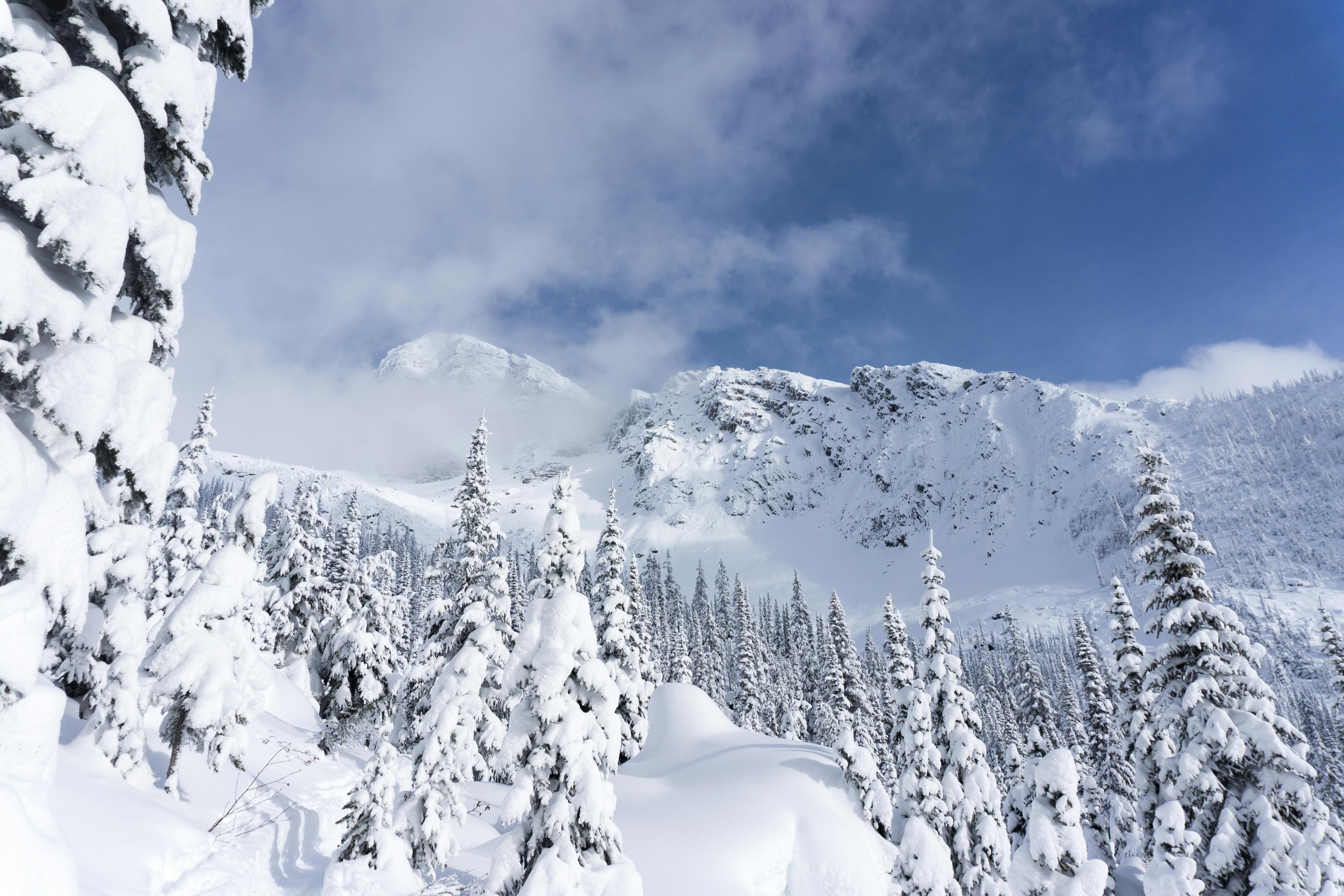 Photos | Mount Revelstoke and Glacier National Parks - Management ...